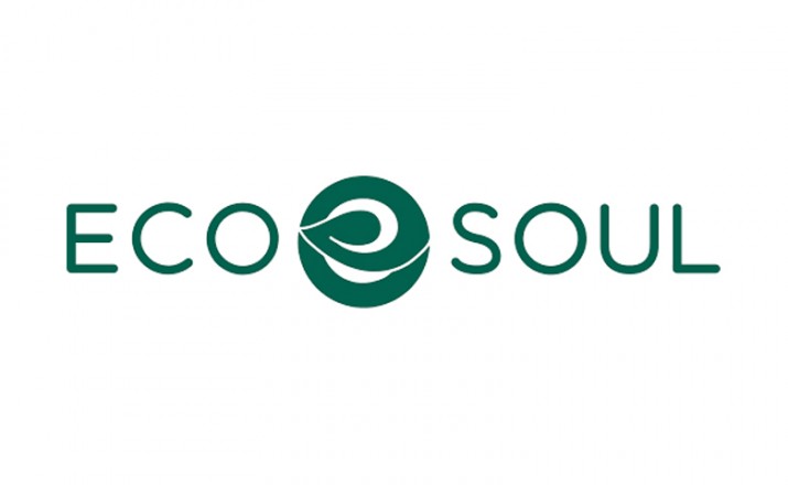 Global eco-friendly home products brand EcoSoul Home set to tap Indian ...