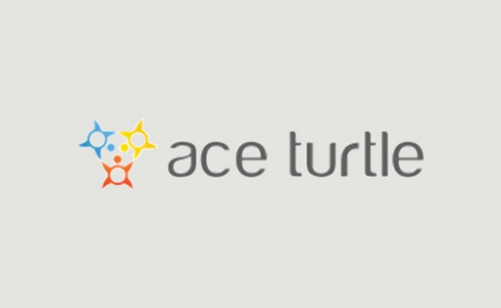 ace turtle announces key management appointments